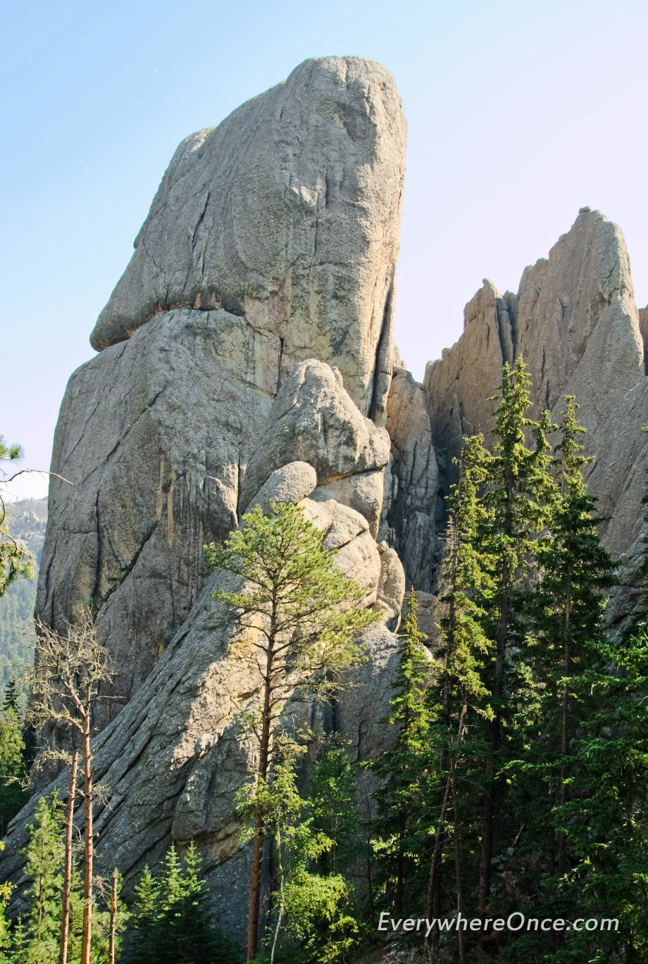 | 24 Hours in Custer State ParkEverywhere Once