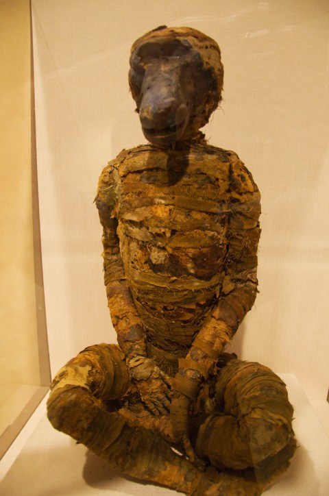 | Detour: San JoseEverywhere Once