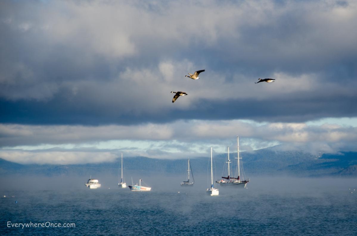 | Morning on Lake TahoeEverywhere Once