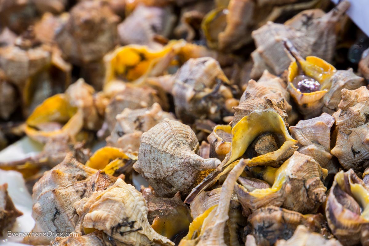 | Shell FishEverywhere Once